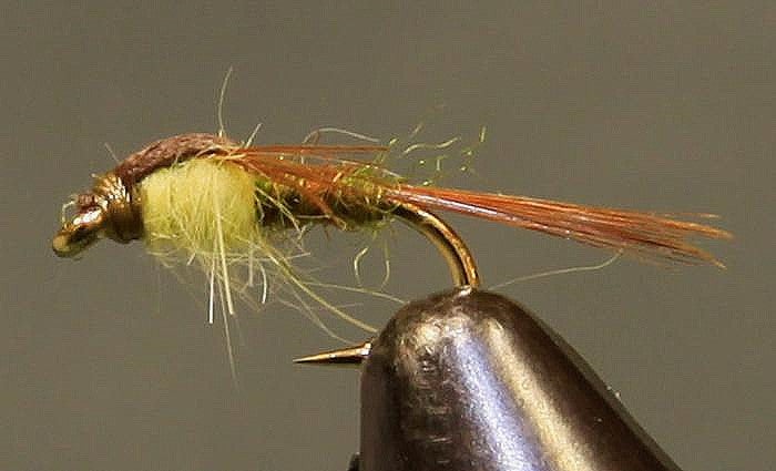 Split Foam Back™ - PMD – SCY-Dist.com